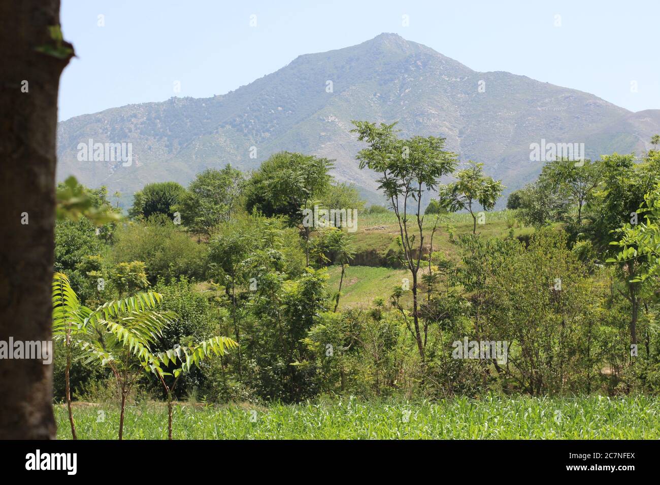 Inside village near Haripur Kpk Pakistan Stock Photo - Alamy