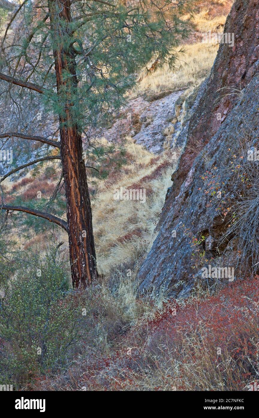 Soledad california hi-res stock photography and images - Alamy