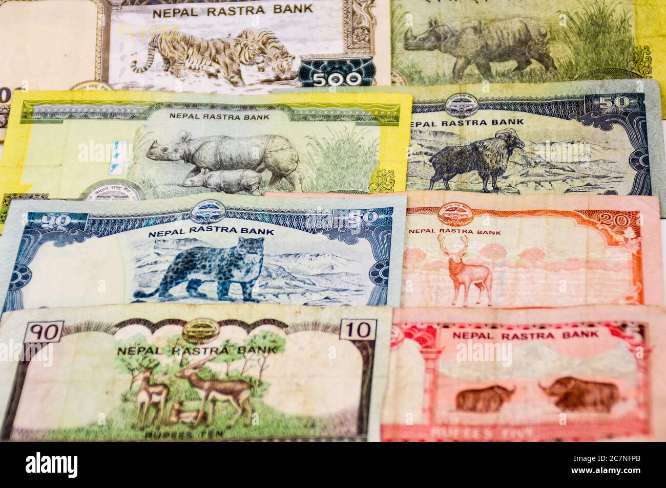 Nepalese Rupee money sorted on a table Stock Photo - Alamy