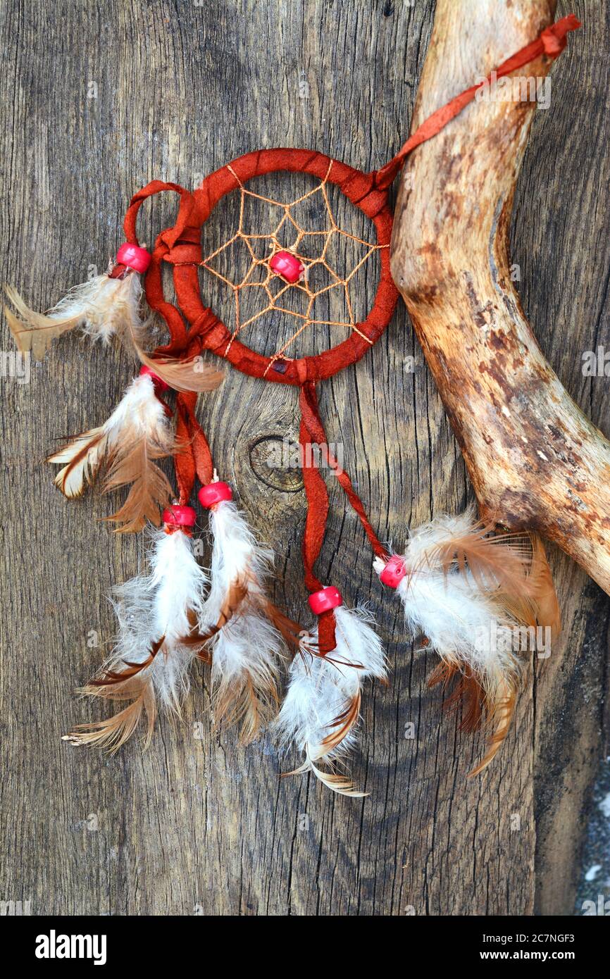 Vertical shot of a red dream catcher hanging from a tree branch in ...