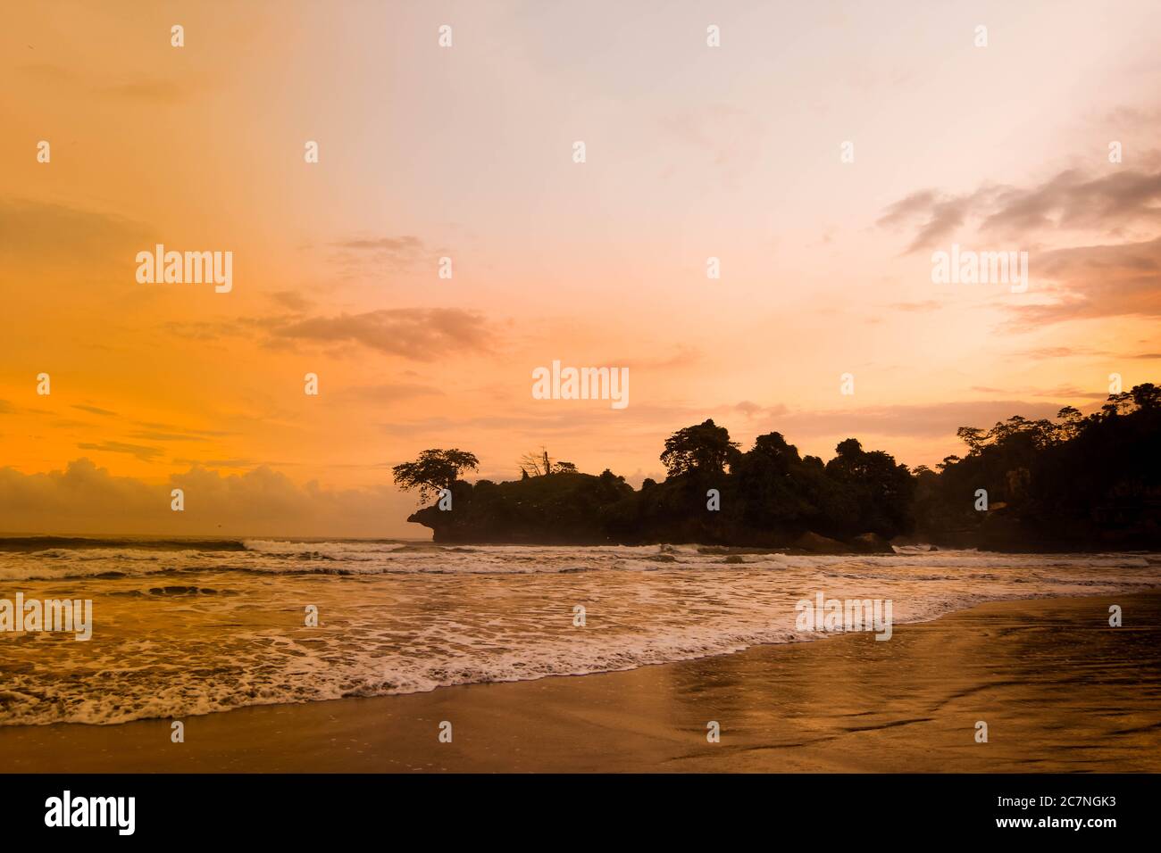The beauty of Pelang beach with its unique coral stones and coconut ...