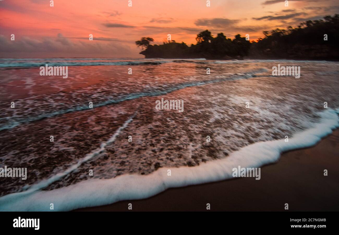 The beauty of Pelang beach with its unique coral stones and coconut ...