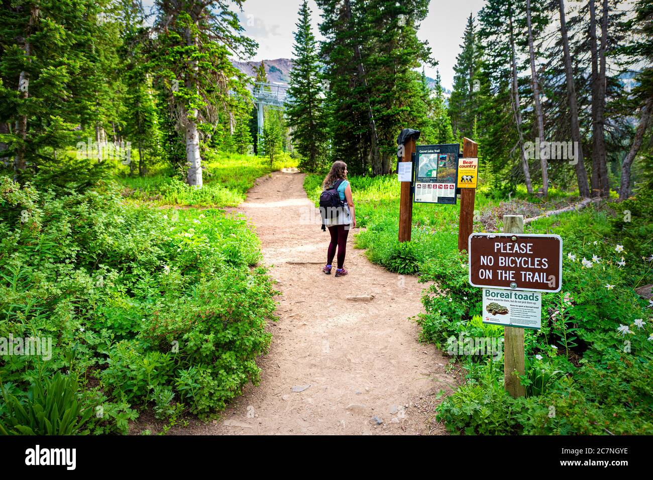 Hiking the albion basin hi-res stock photography and images - Alamy