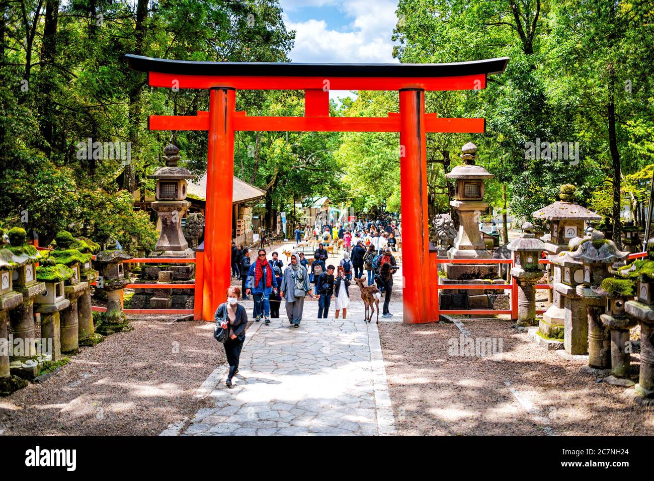 Nara, Japan - April 15, 2019: People tourists foreigners crowd many ...