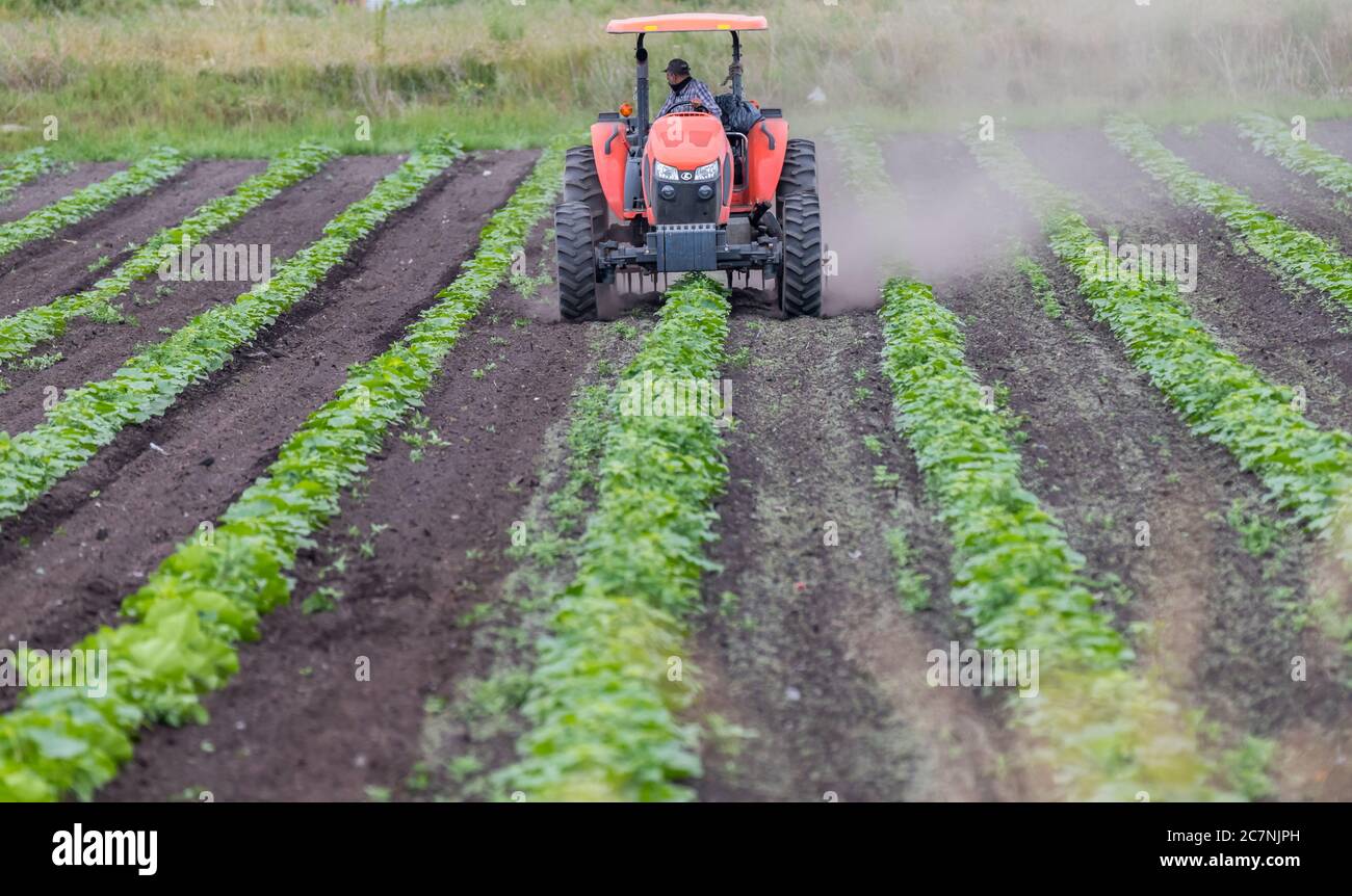 Weeding machine hi-res stock photography and images - Alamy