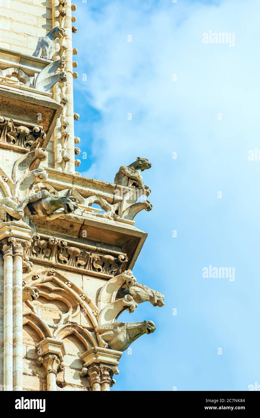 Chimera and gargoyles from the Gallery of gargoyles and chimeras. Notre ...