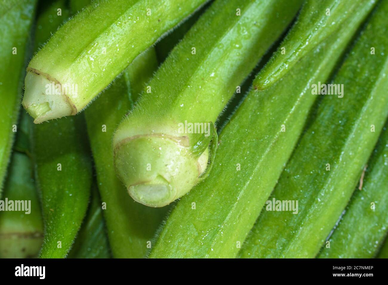 Ladies finger hi-res stock photography and images - Alamy
