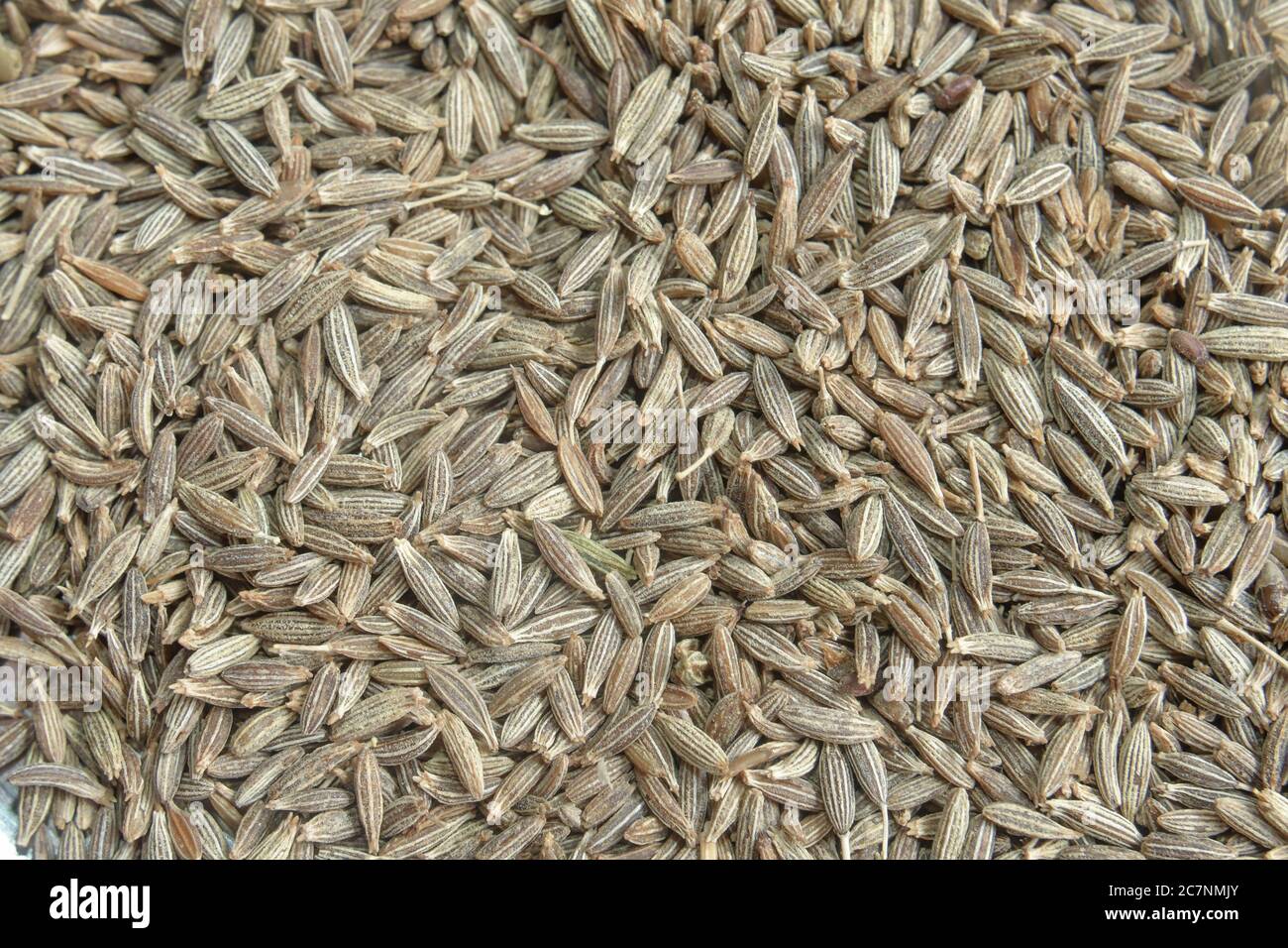 Closeup of cumin seeds hi-res stock photography and images - Alamy