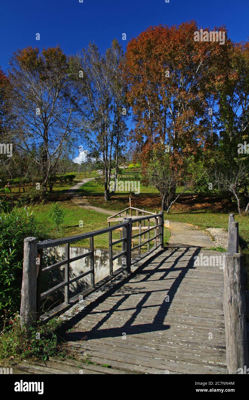Park with hight trees, narrow curved pathway and a small wooden bridge ...