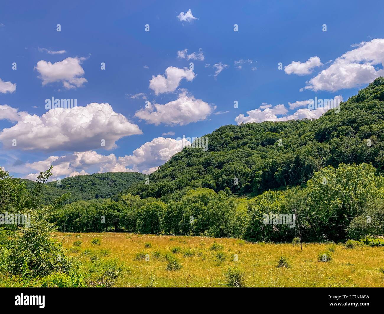 Tree covered landscape forest height hi-res stock photography and ...