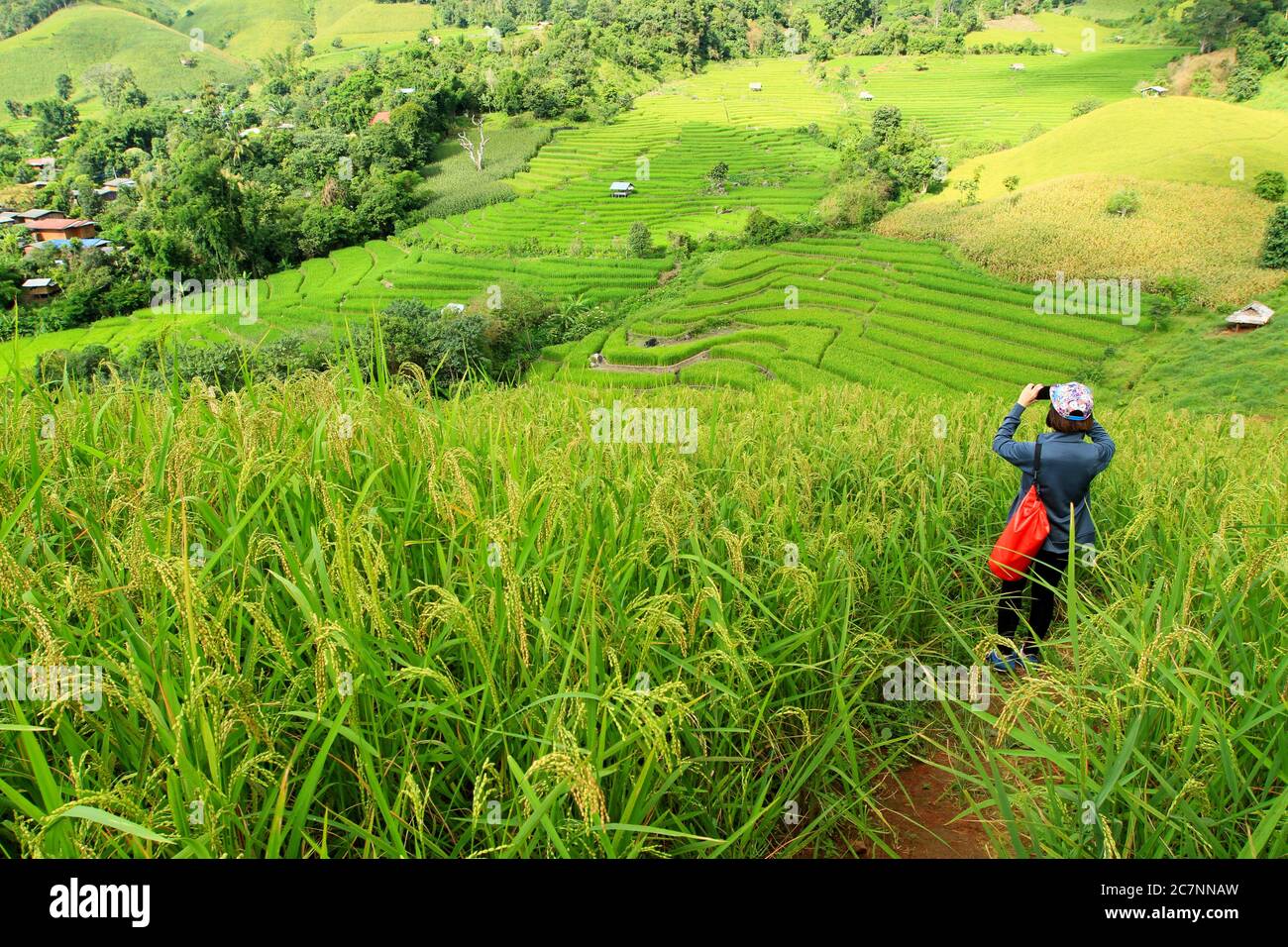 Woman taking a picture of the beautiful landscape of large grasslands ...
