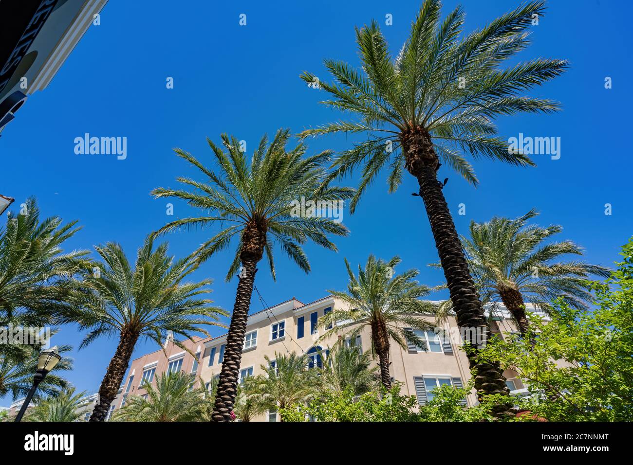 Green valley ranch district hi-res stock photography and images - Alamy