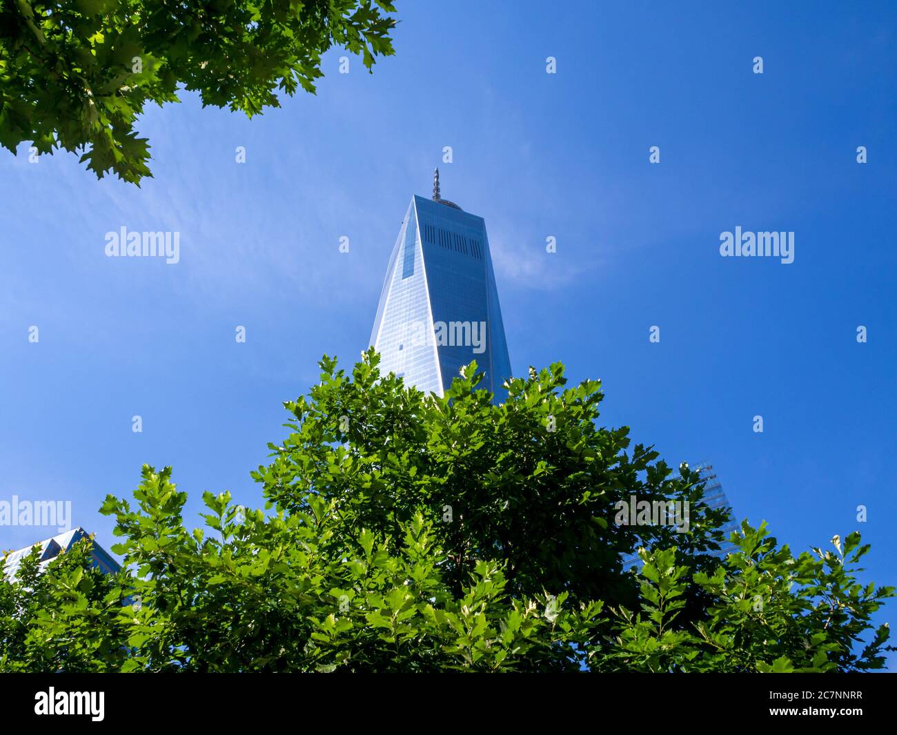 New Freedom Tower poking through trees at World Trade Center In New ...
