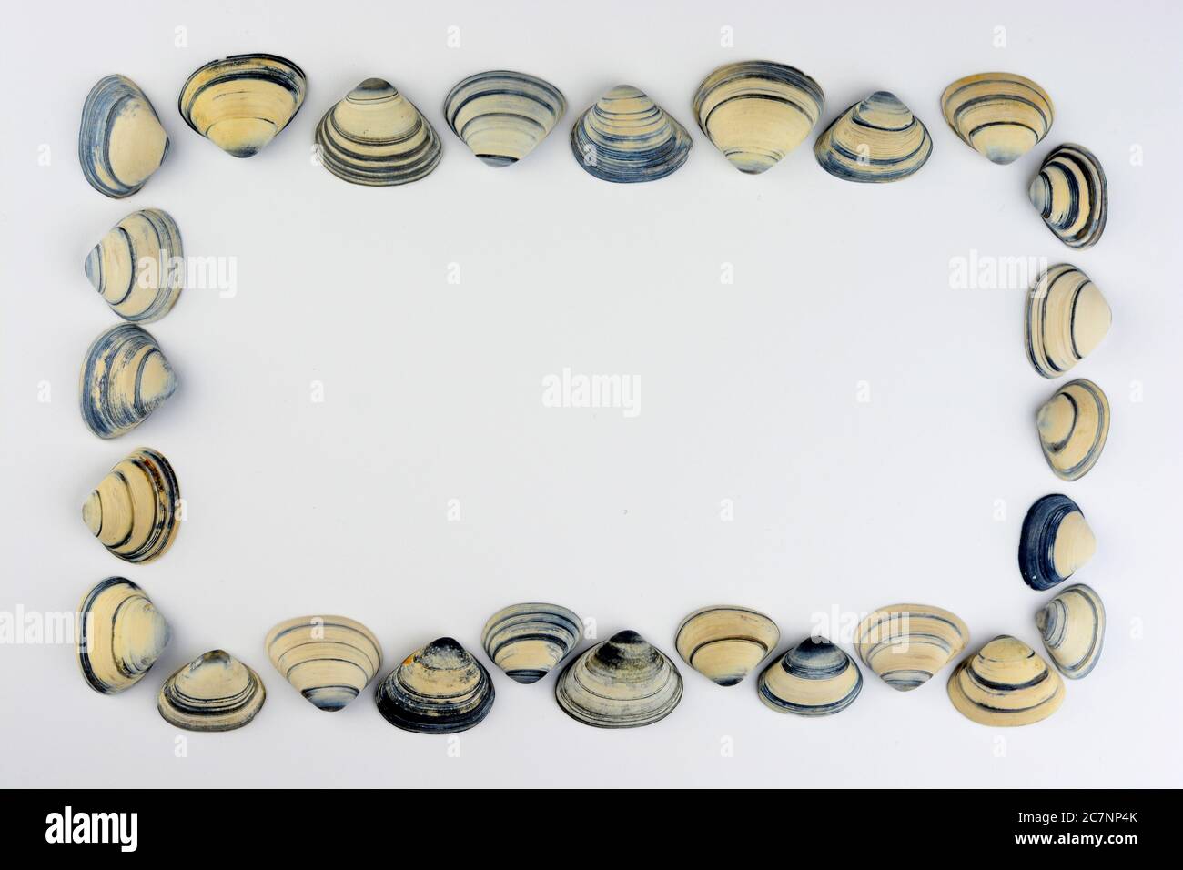 Picture of frame made with snails on a white background Stock Photo - Alamy