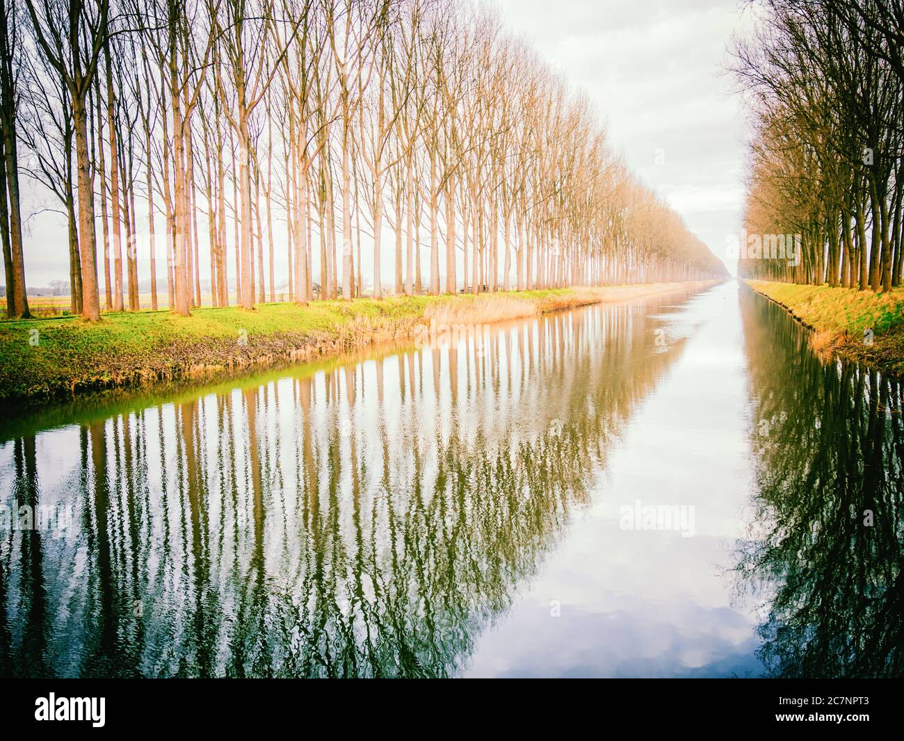 Breathtaking shot of a calm river surrounded by trees and greenery ...