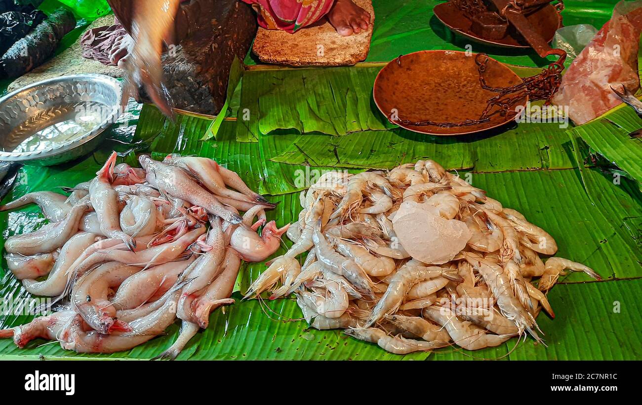 Local fish market with fresh water and sea fishes on sale at Kolkata ...