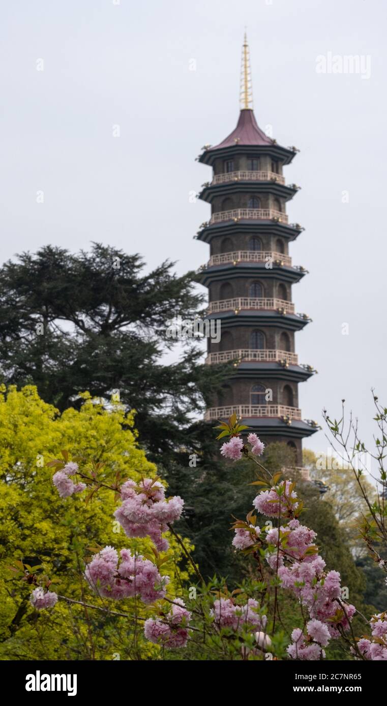 Kew gardens pagoda blossom hi-res stock photography and images - Alamy