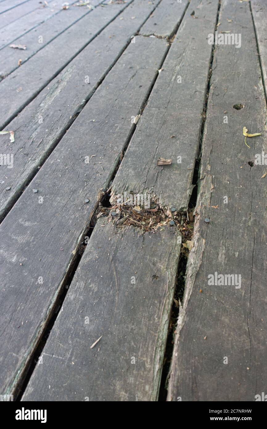 Rotting wooden structure hi-res stock photography and images - Alamy