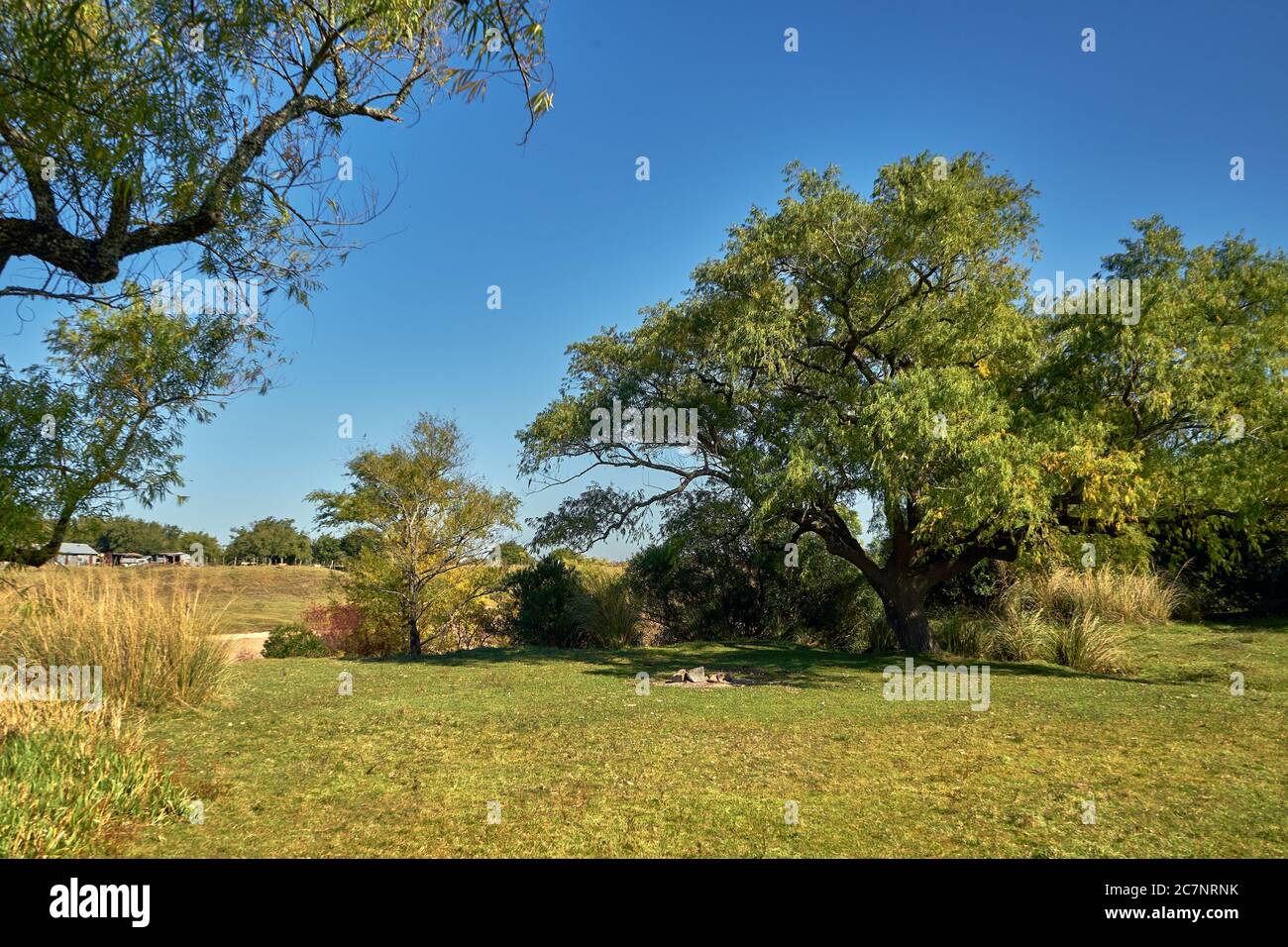 Greenfield and trees under the blue sky Stock Photo - Alamy