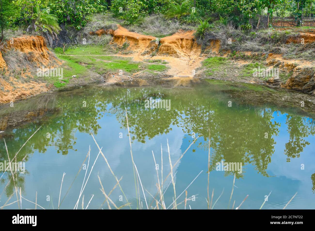 Natural looking garden pond hi-res stock photography and images - Alamy