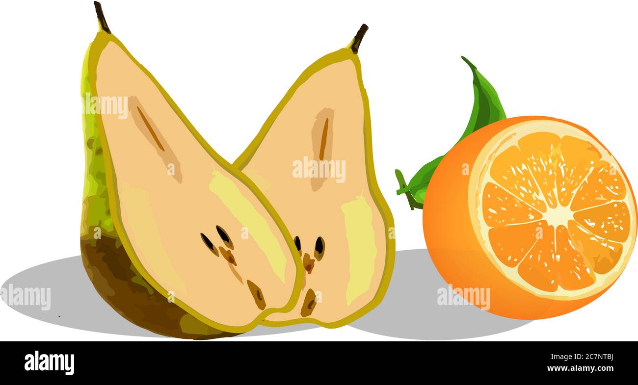 Illustration of the pear and orange fruits isolated on a white ...