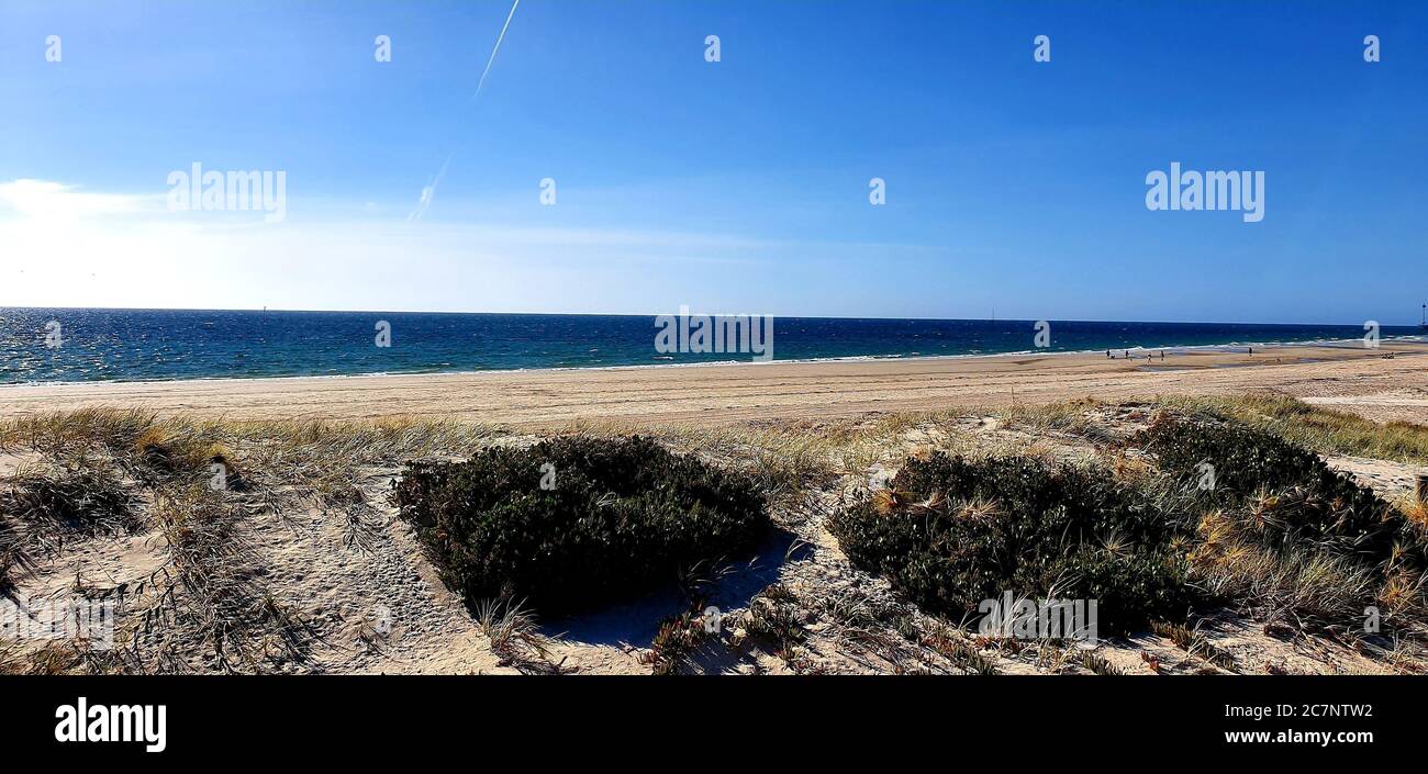 Wavy beach captured during the daytime on a clear sunny day Stock Photo ...