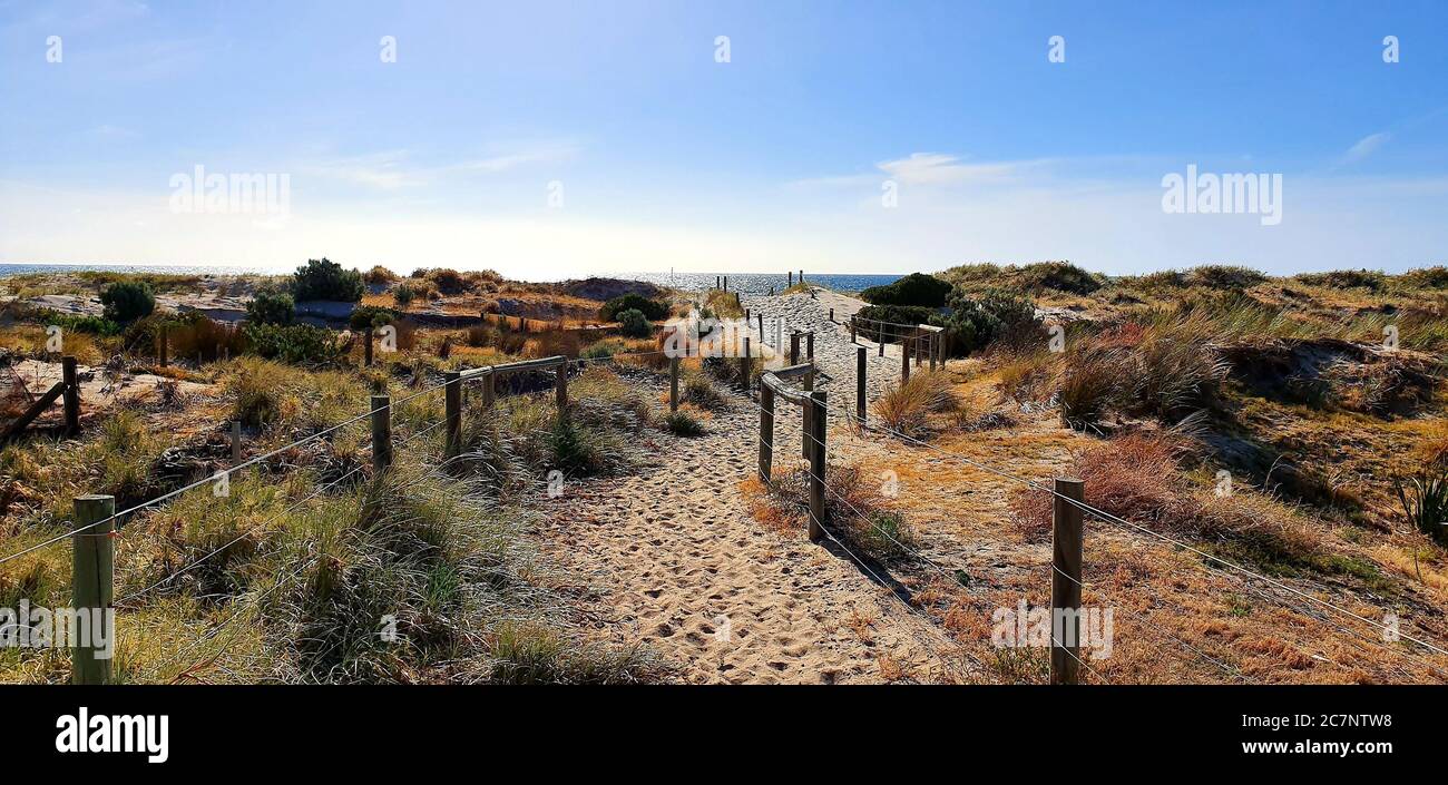 Sandy walking path surrounded by bushes by the beach captured on a ...