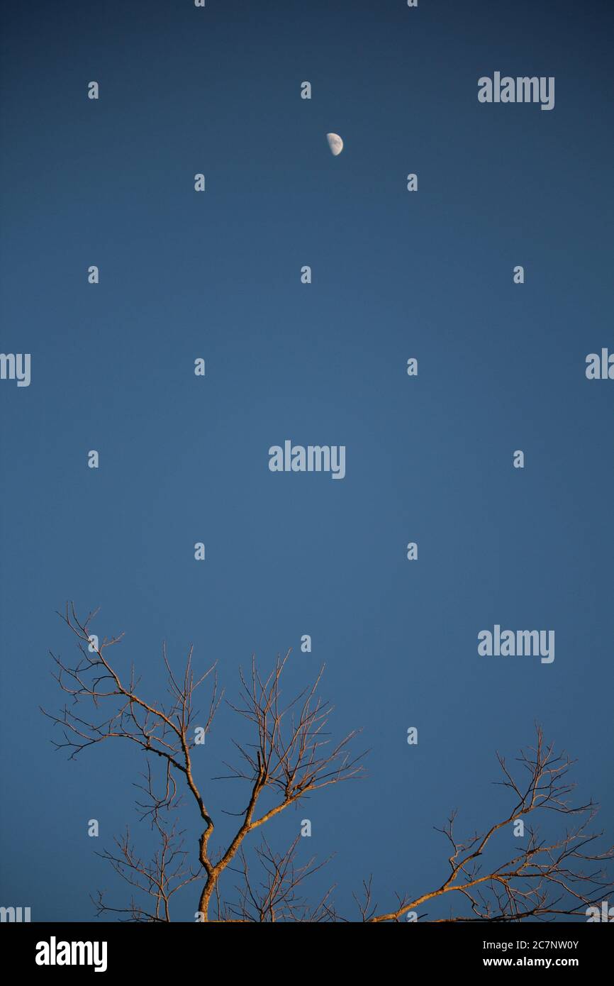 Moon watching hi-res stock photography and images - Alamy