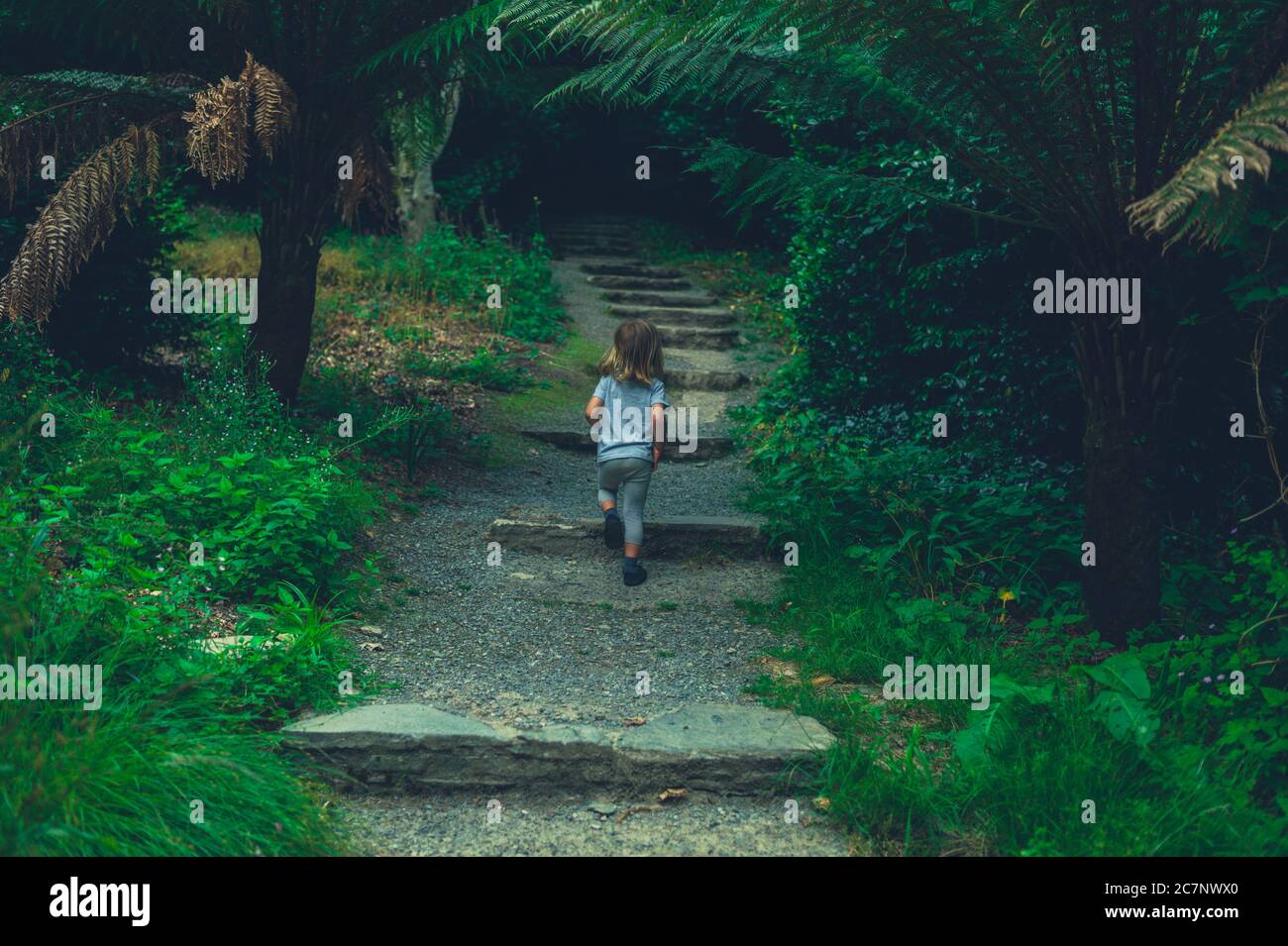 A little preschooler boy is running in a garden Stock Photo - Alamy