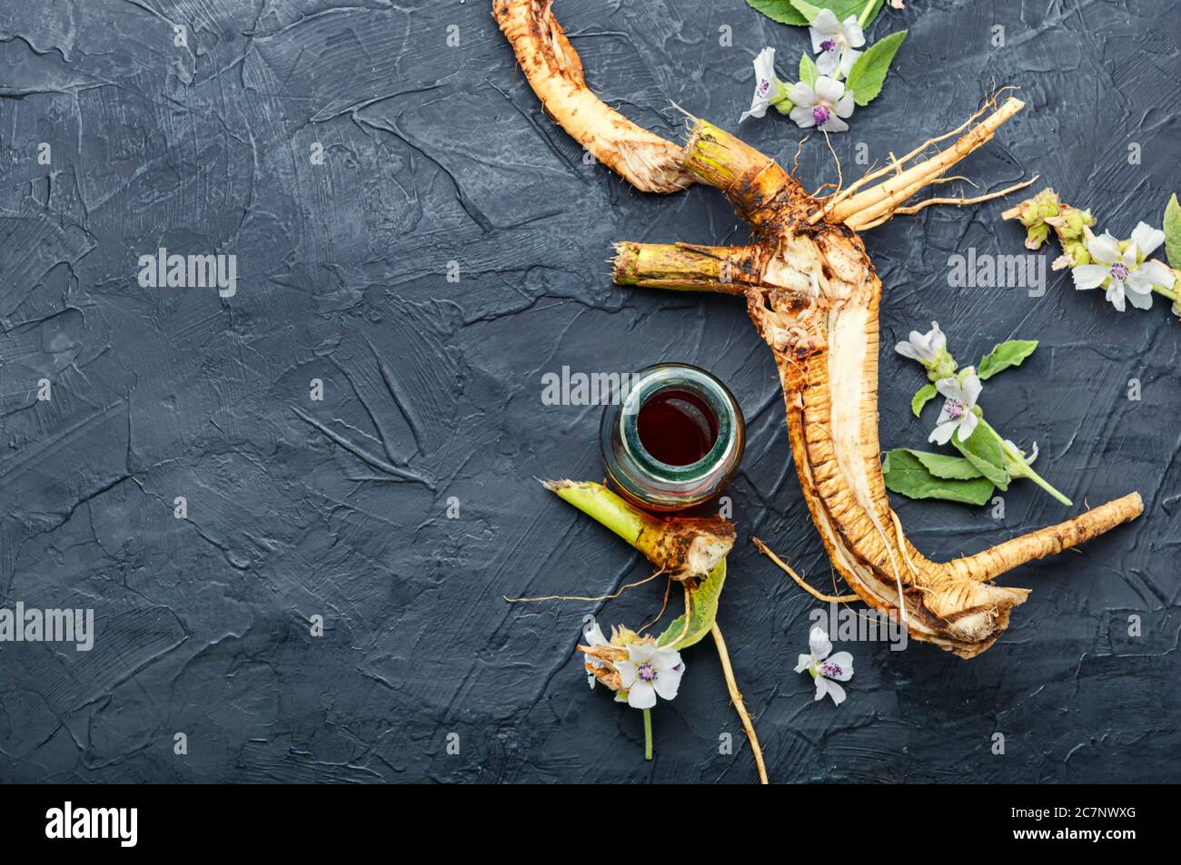 Marshmallow root hi-res stock photography and images - Alamy