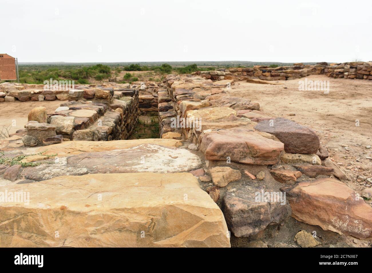 Dhola hi-res stock photography and images - Alamy