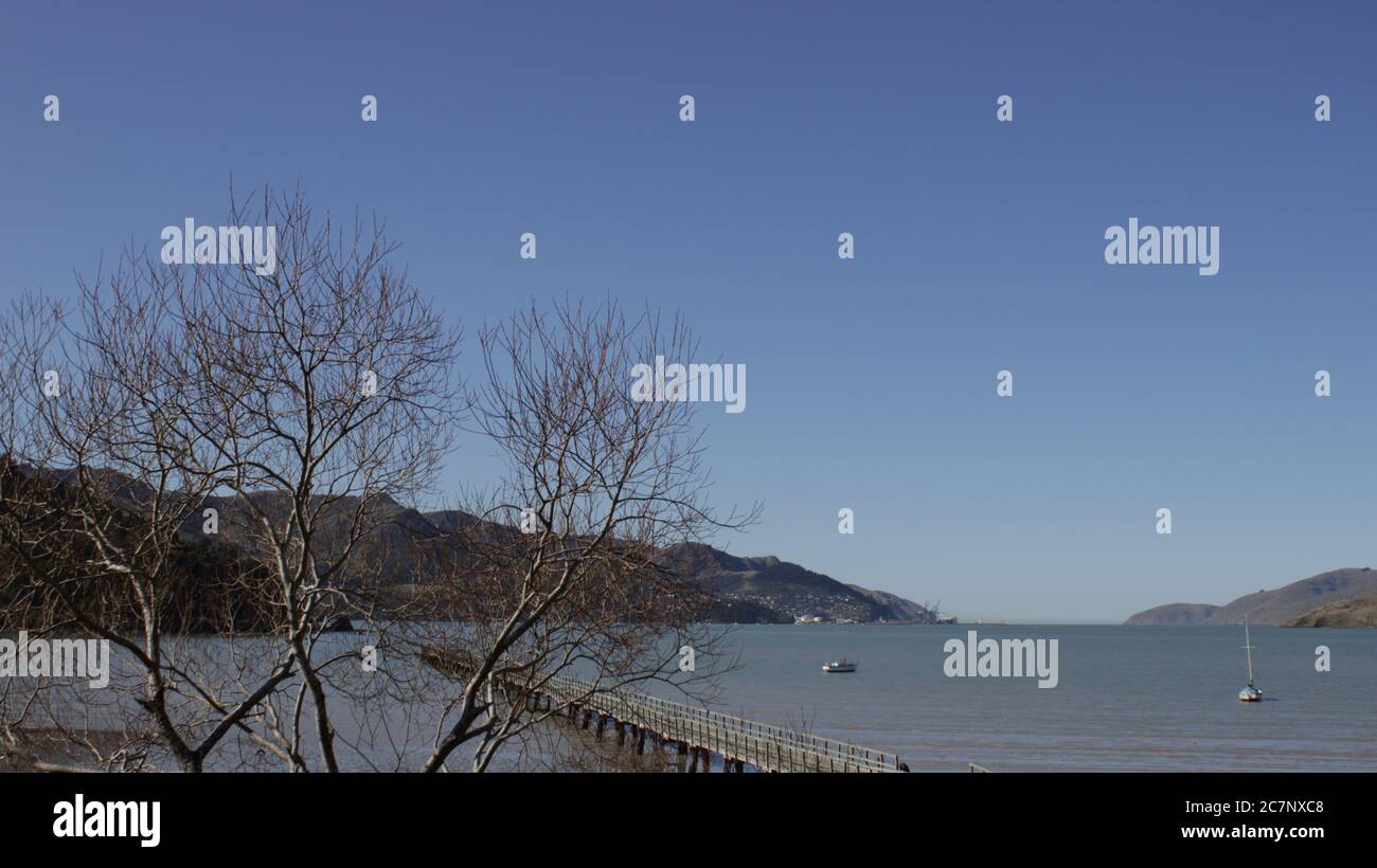 Tree in front of water and hill Stock Photo - Alamy