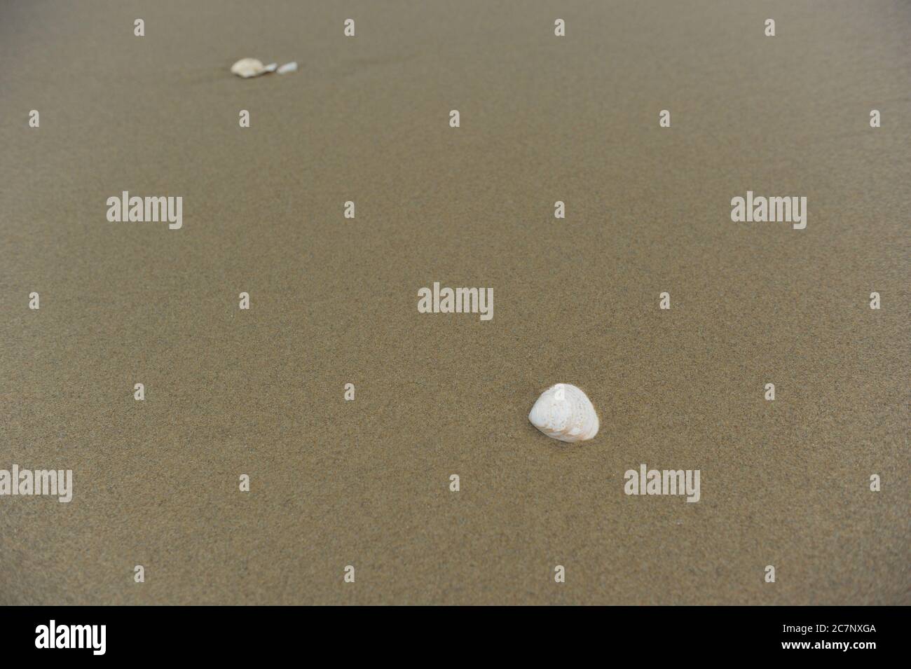 Seashell cove hi-res stock photography and images - Alamy