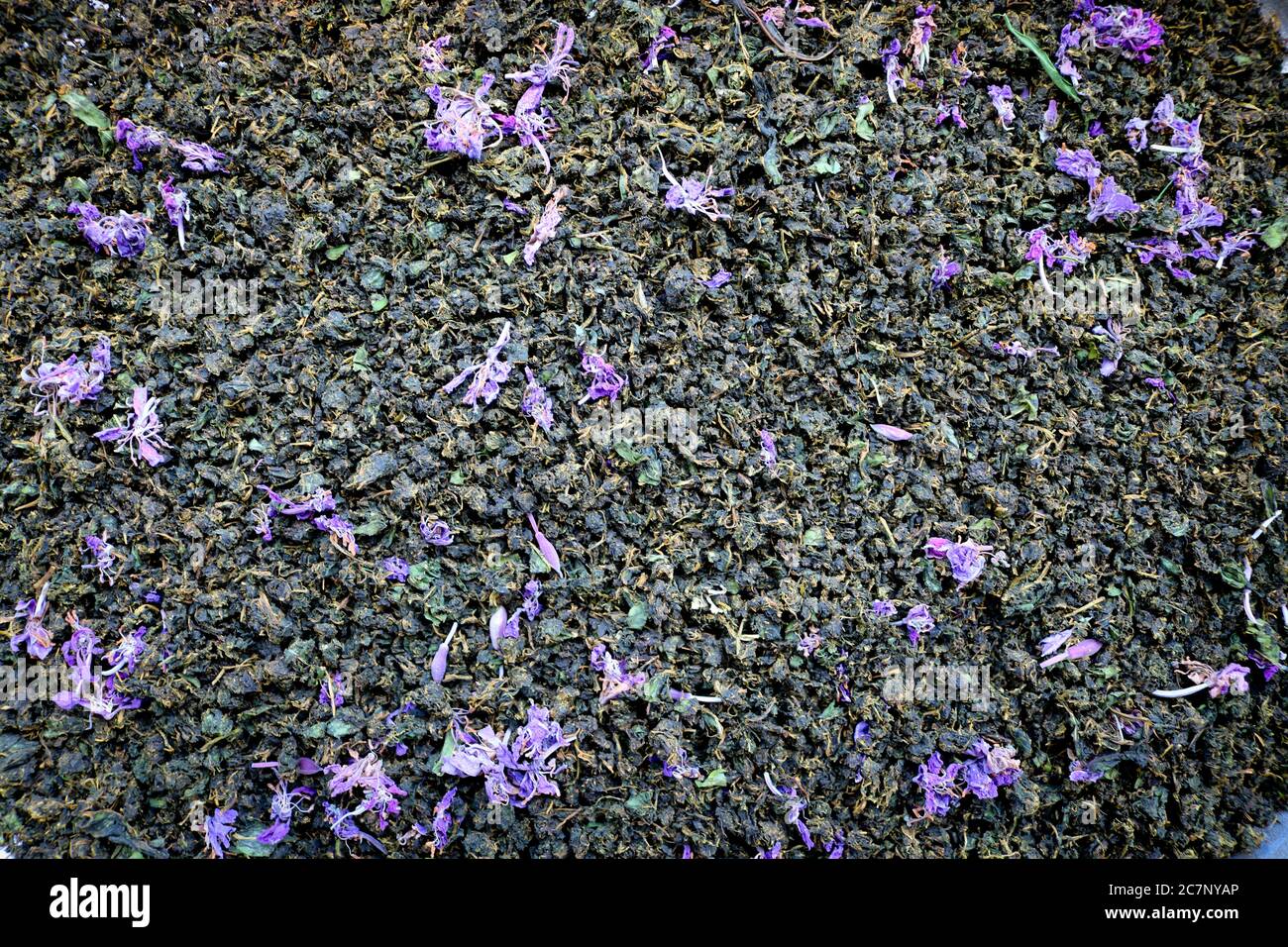 Dry fermented fireweed tea. Homogeneous background. Tea texture Stock ...