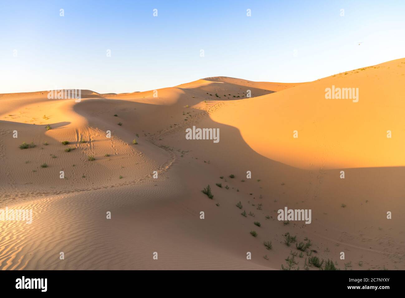 China farm desert dunes hi-res stock photography and images - Alamy