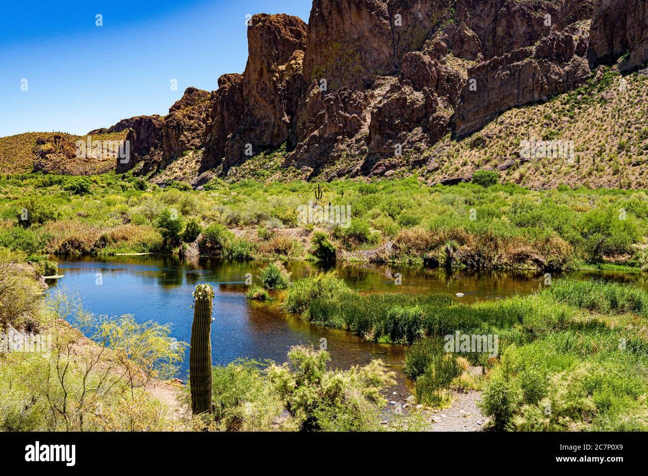 A view of the Salt River in Arizona Stock Photo - Alamy