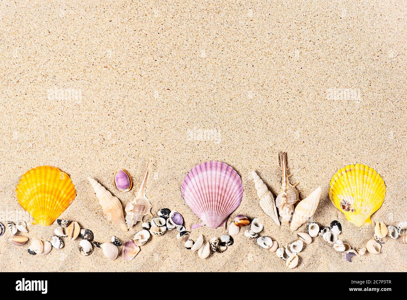 Flat lay composition with colourful sea shells and corals on sand, flat ...