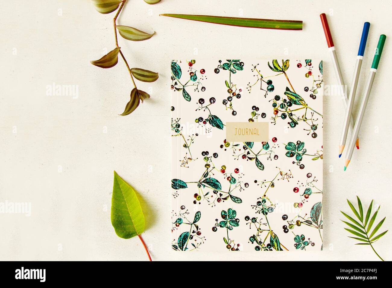 Notebook, pencils and plants on the white background, studio shot ...