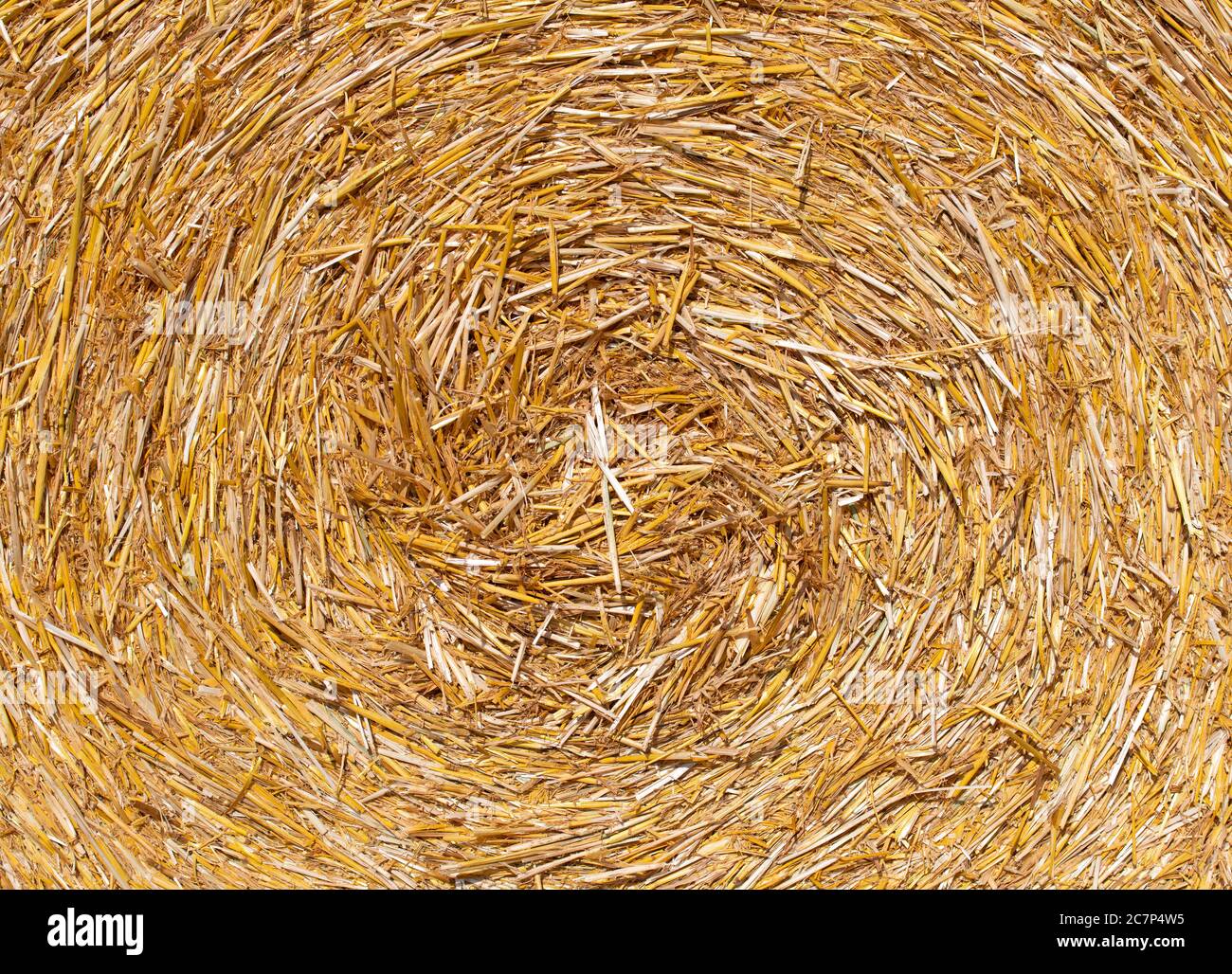 Round straw bale in a close-up Stock Photo - Alamy