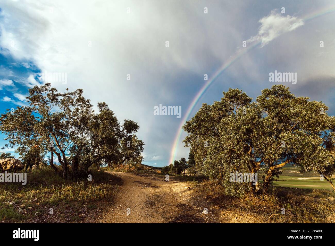 Beautiful shot of the countryside in Spain Stock Photo - Alamy