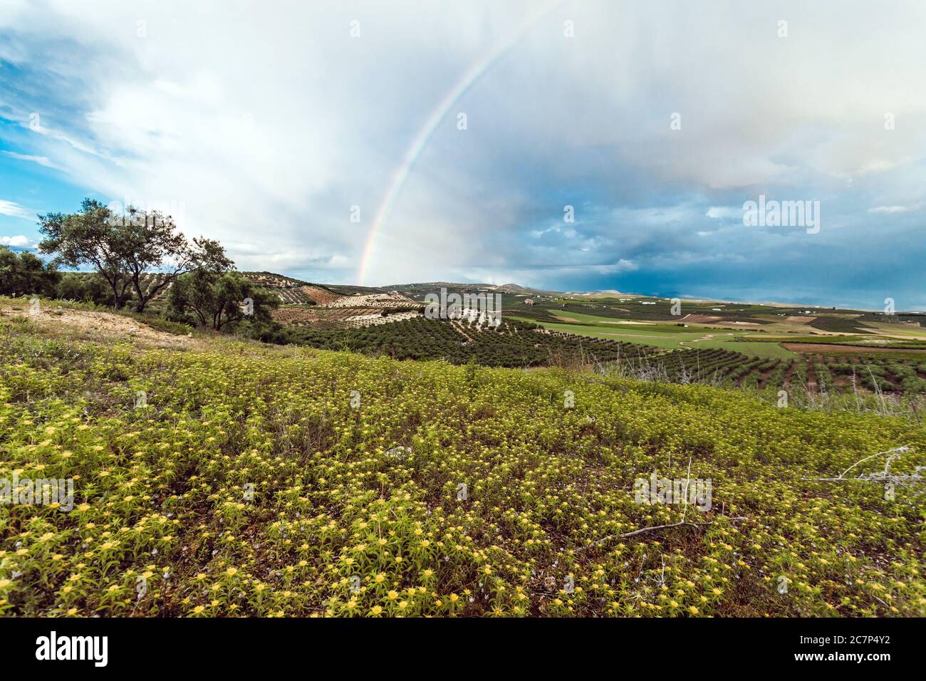 Beautiful shot of the countryside in Spain Stock Photo - Alamy