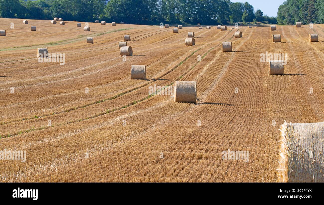 Round bales on stubble hi-res stock photography and images - Alamy