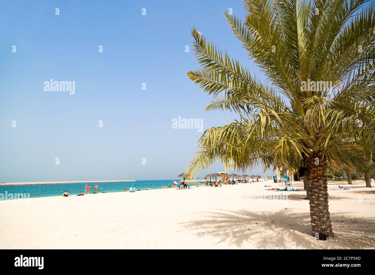 Dubai beach with a beautiful palm tree Stock Photo - Alamy
