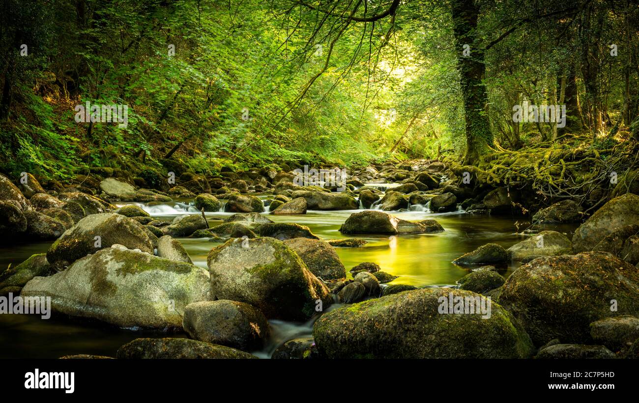 Dartmoor devon summer river hi-res stock photography and images - Alamy
