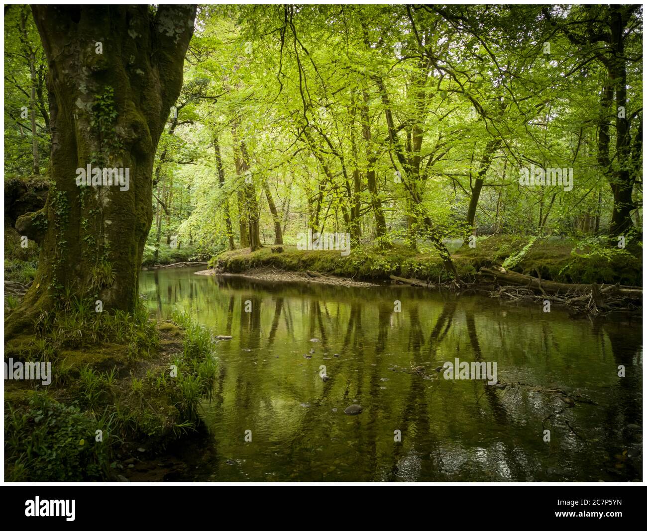 View river stream on Cut Out Stock Images & Pictures - Alamy