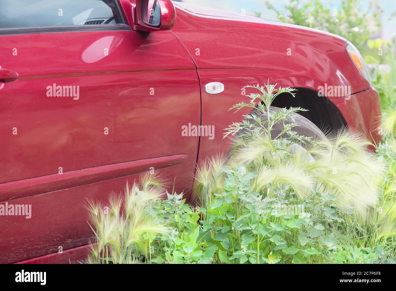 Car in high grass hi-res stock photography and images - Alamy