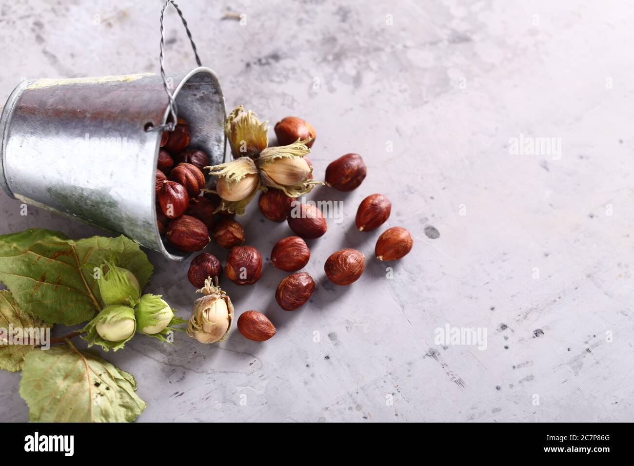 natural organic hazelnut nut for healthy eating Stock Photo - Alamy