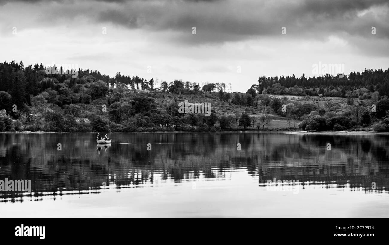 Two people in a small row boat fly fishing for Trout on Burrator ...