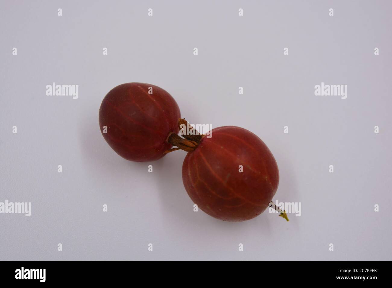 Large fruits of red juicy gooseberries located on a white matte ...