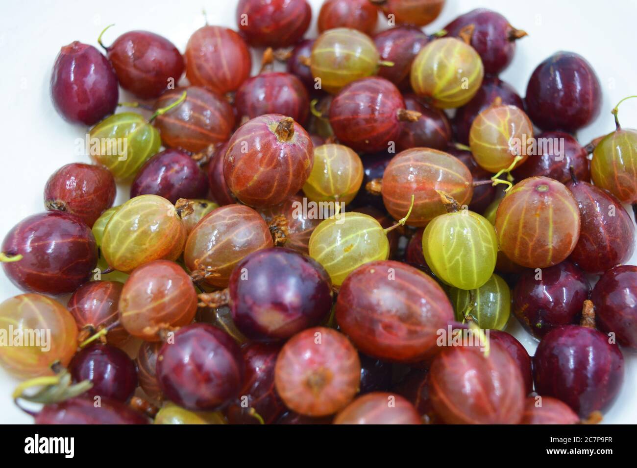 Fresh ripe red gooseberries are positioned and plated into a white ...